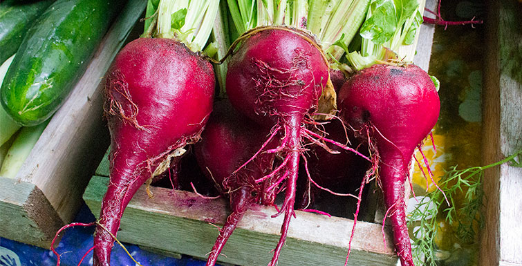 About Beets | Facts About Beets – West Coast Seeds