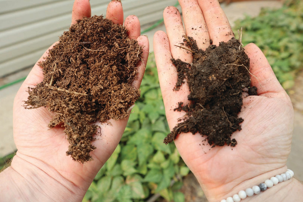 Gardening in Native Soil – West Coast Seeds