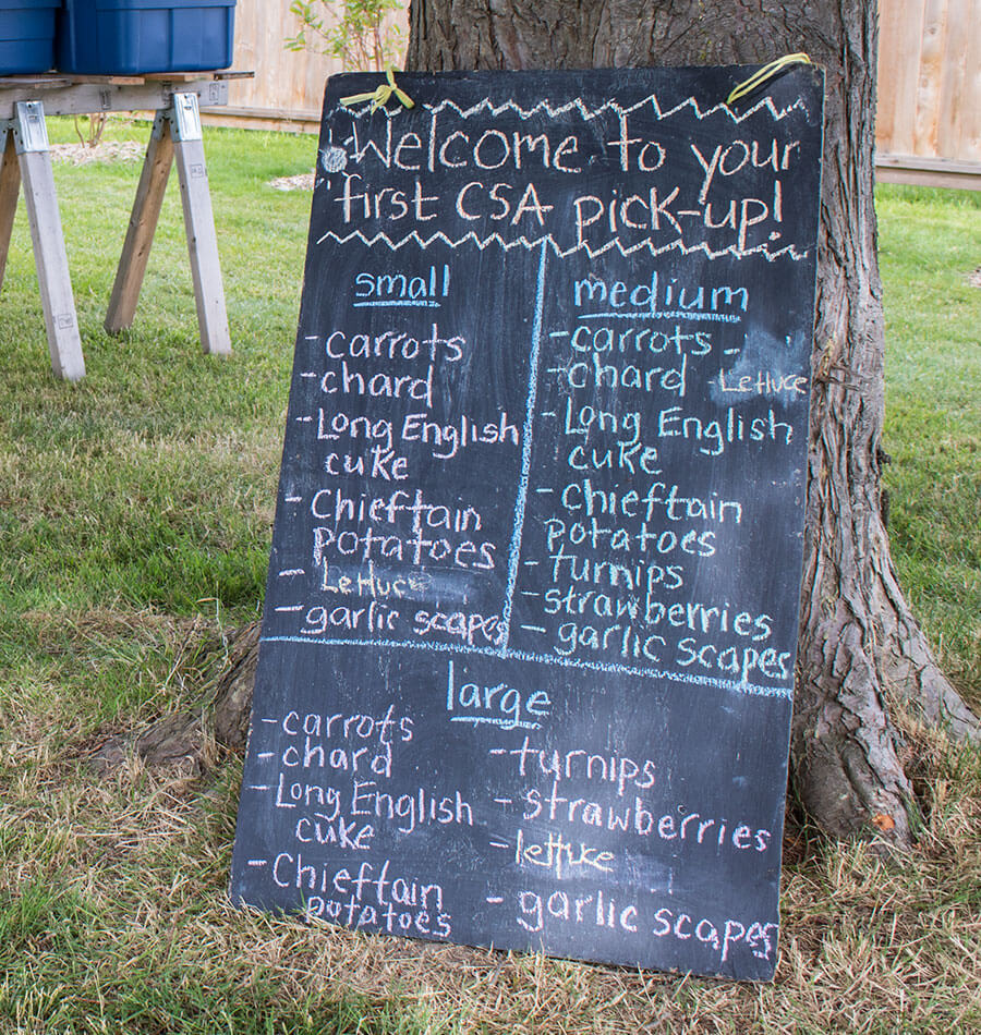 First Farm Box of Community Supported Agriculture – West Coast Seeds