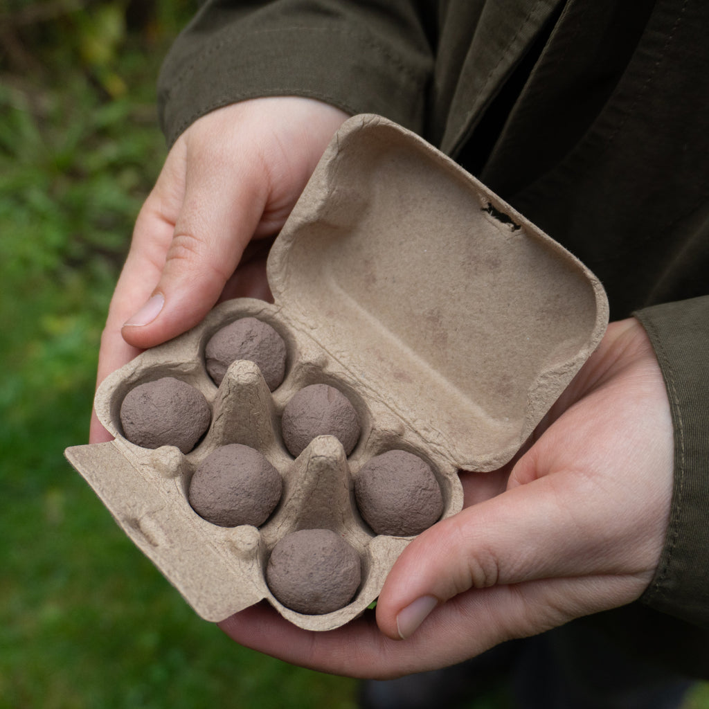 How To Grow Seed Bombs – West Coast Seeds