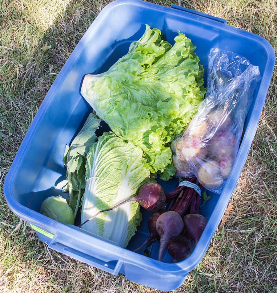 The CSA Farm Box Program Continues – West Coast Seeds