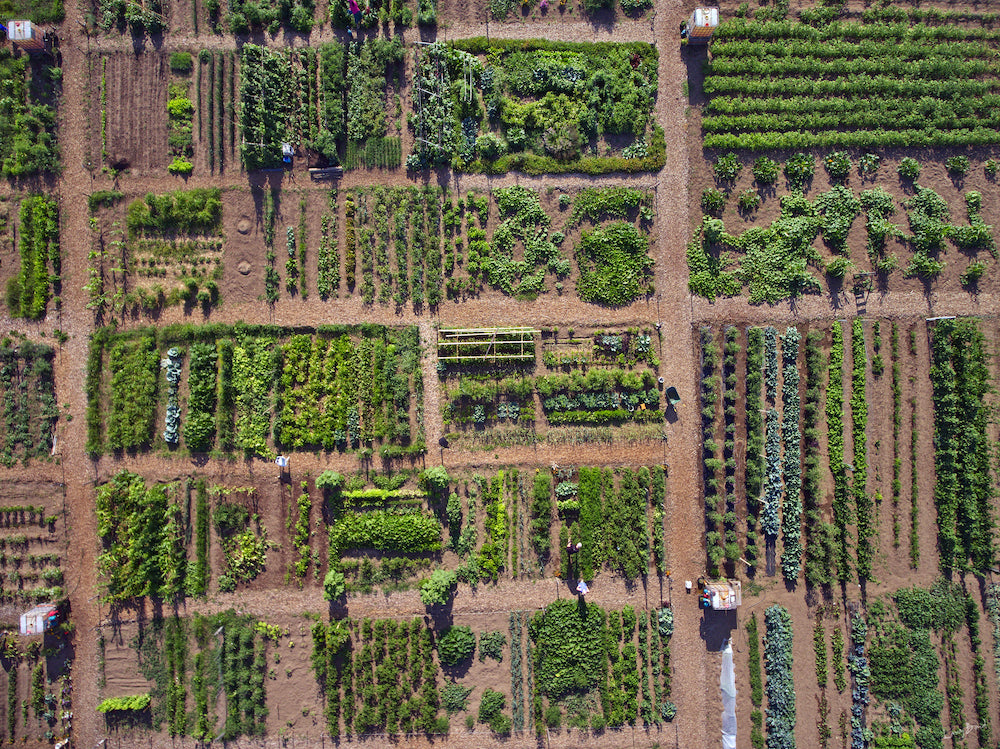 Community Garden Plan View Community Garden | City Of St. Cloud,