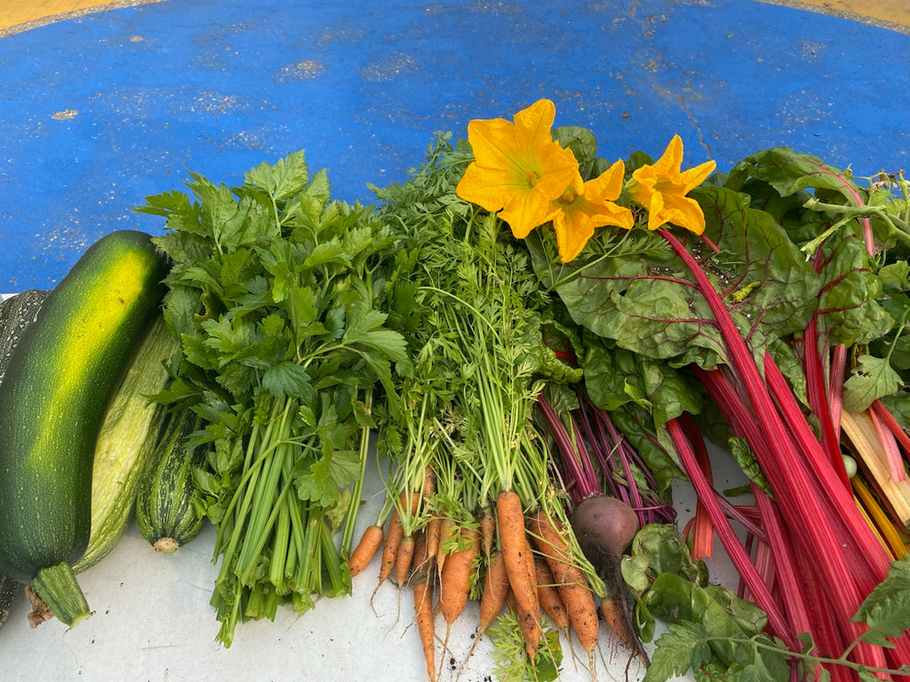 Grow, Cook, Share, and Advocate for Good Food – West Coast Seeds