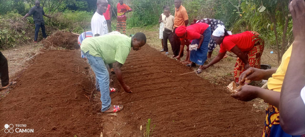 Thrive for Good: Sowing Seeds of Change in Liberia – West Coast Seeds