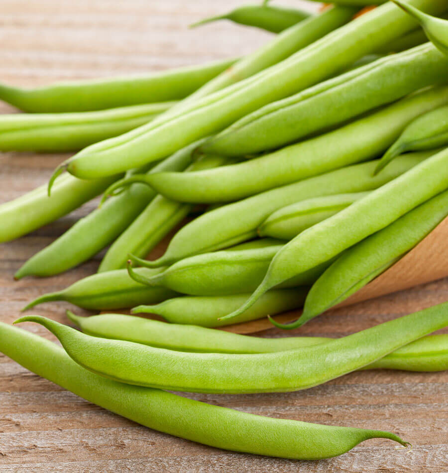How to Grow Pole Beans – West Coast Seeds