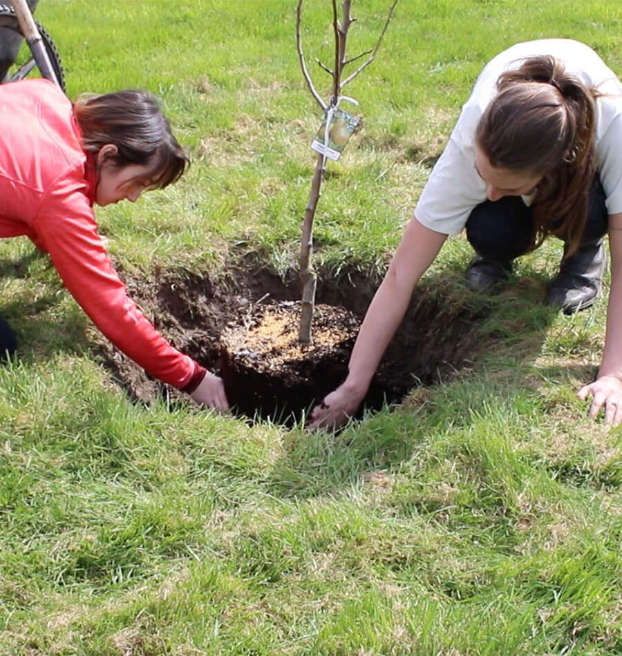 Commit to Grow for Earth Day | Planting Trees – West Coast Seeds