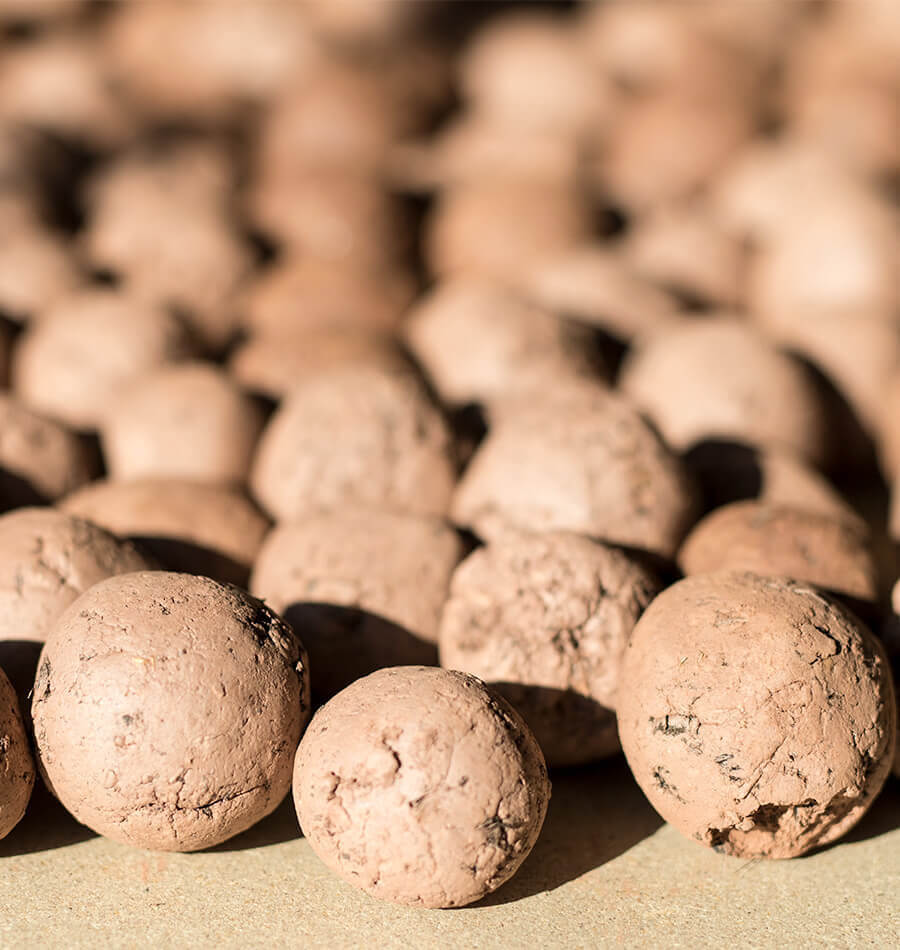 Commit to Grow for Earth Day | Seed Balls – West Coast Seeds