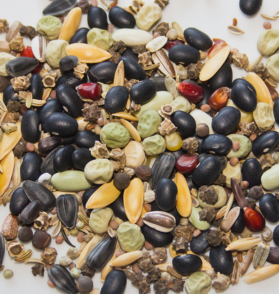 How Do I Store My Seeds? | Seed Storage Tips – West Coast Seeds