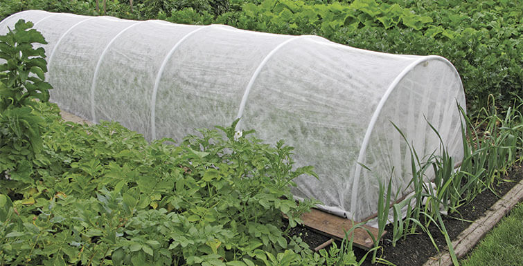 Winter Crop Protection – West Coast Seeds