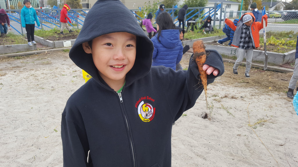 Food First Foundation - Educating Youth to Reduce Food Insecurity ...