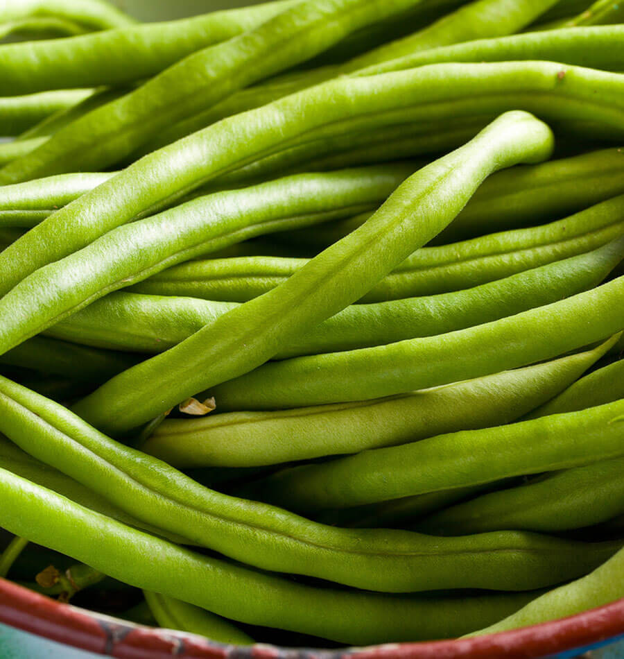 How to Grow Bush Beans – West Coast Seeds