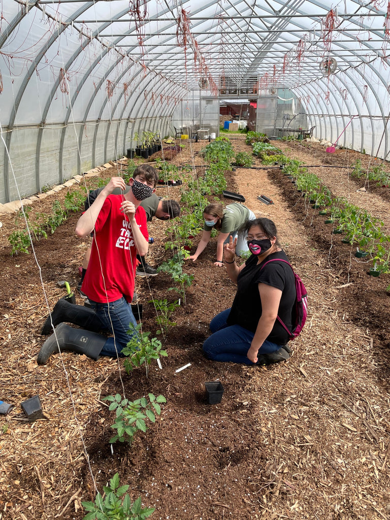 Providence Farm: Community Support in the Cowichan Valley – West Coast ...