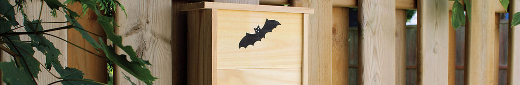 Bats – West Coast Seeds