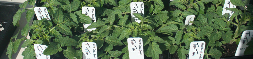 Plant Labeling – West Coast Seeds
