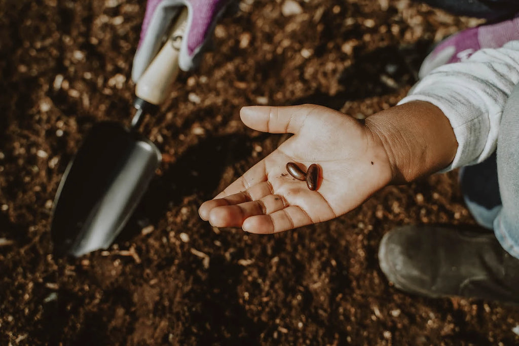 2024 Seed Sale – West Coast Seeds