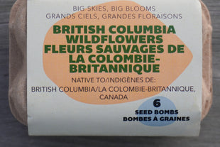 Native Plants of British Columbia – West Coast Seeds