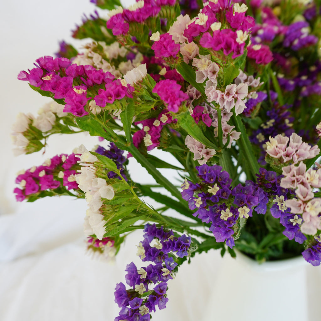 Pacific Mix – West Coast Seeds