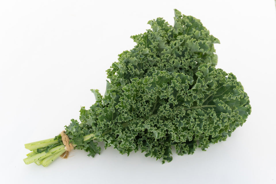 Arun F1 Organic – West Coast Seeds