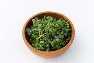 How to Grow Asparagus Crowns – West Coast Seeds