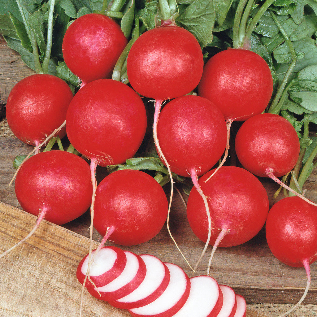 Cherry Belle Seed Tape – West Coast Seeds