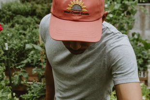 Red Clover Organic Sprouting Seeds – West Coast Seeds