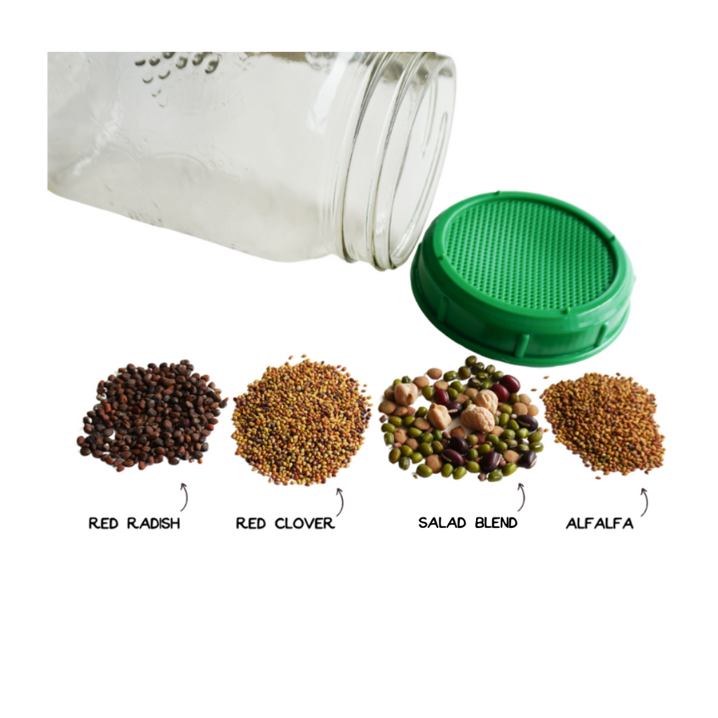 Fantastic Four Sprouting Collection – West Coast Seeds