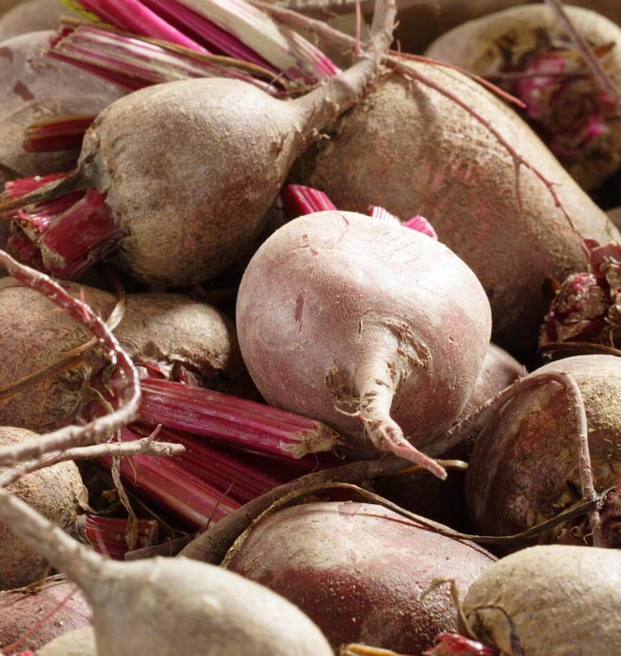 Detroit Supreme Beet Seeds – West Coast Seeds