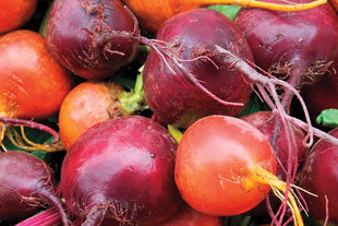 Gold Medals to Golden Beets: The Gardening Journey of Gold Medal Canad ...