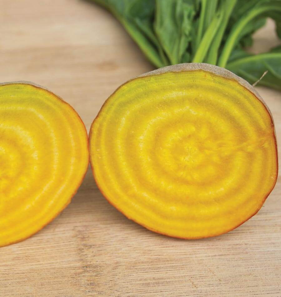 yellow border beetroot