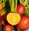 Touchstone Gold Beet Seeds – West Coast Seeds