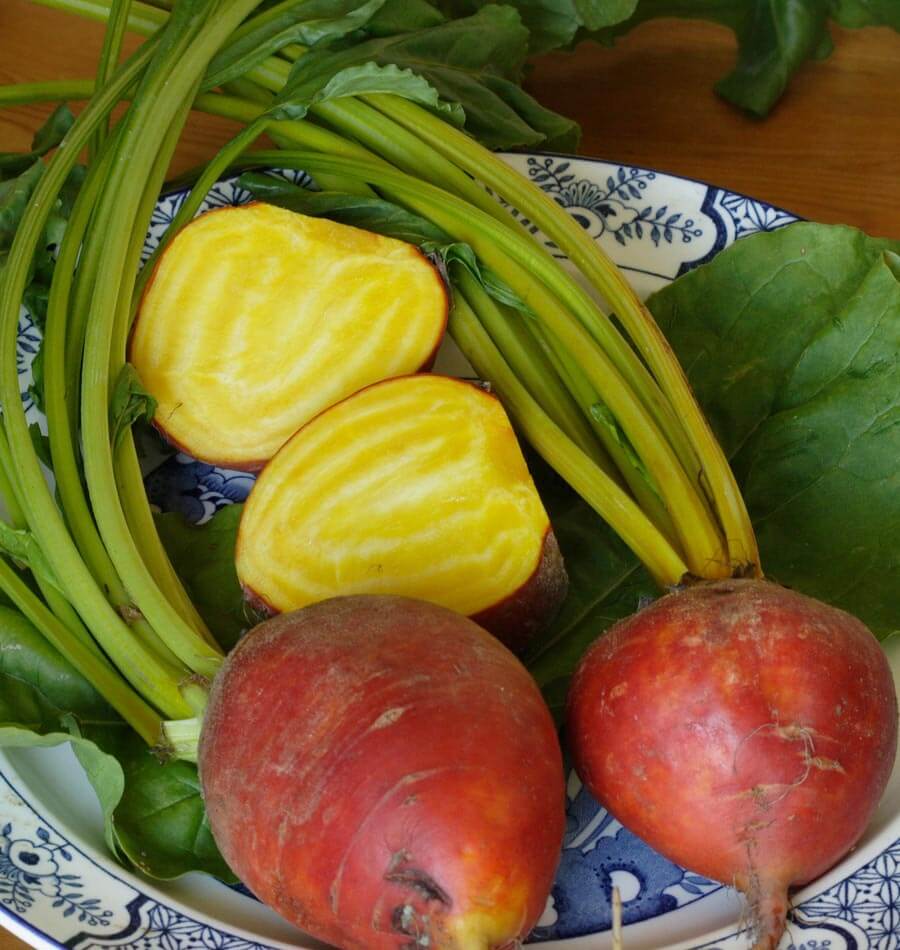 Touchstone Gold Organic Beet Seeds – West Coast Seeds