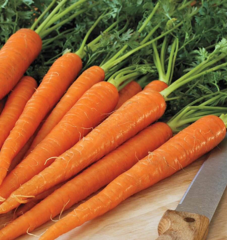 Neptune Carrot Seeds – West Coast Seeds