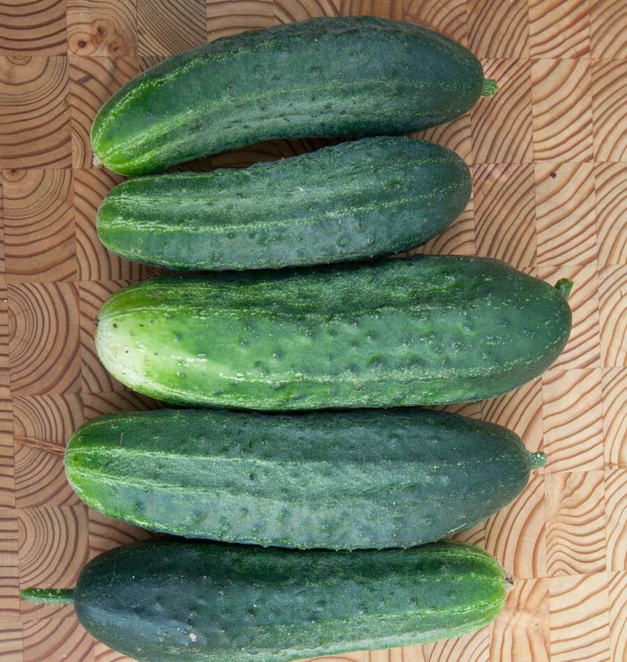 Excelsior Organic Cucumber Seeds – West Coast Seeds
