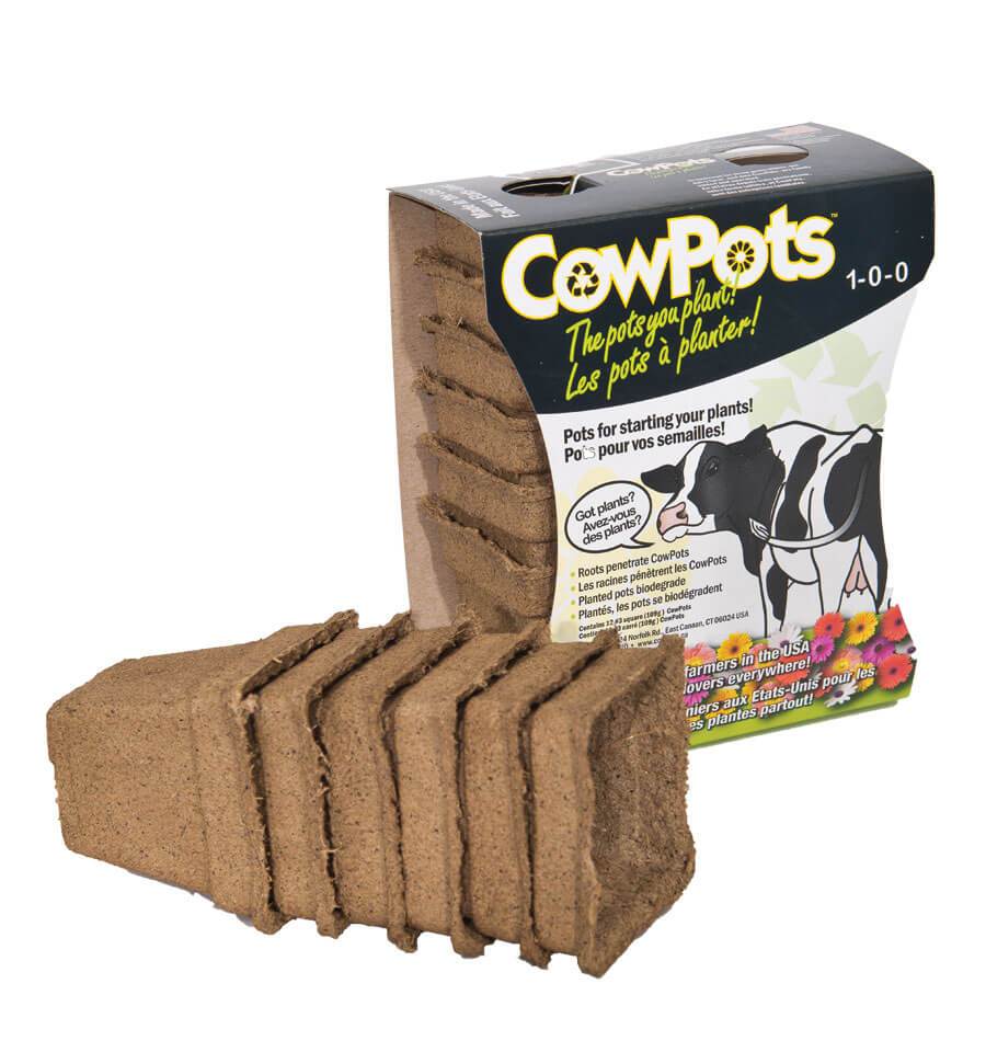 4 Inch Cow Pots | West Coast Seeds