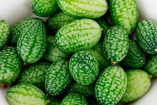 Walla Walla Sweet Onion Seeds – West Coast Seeds