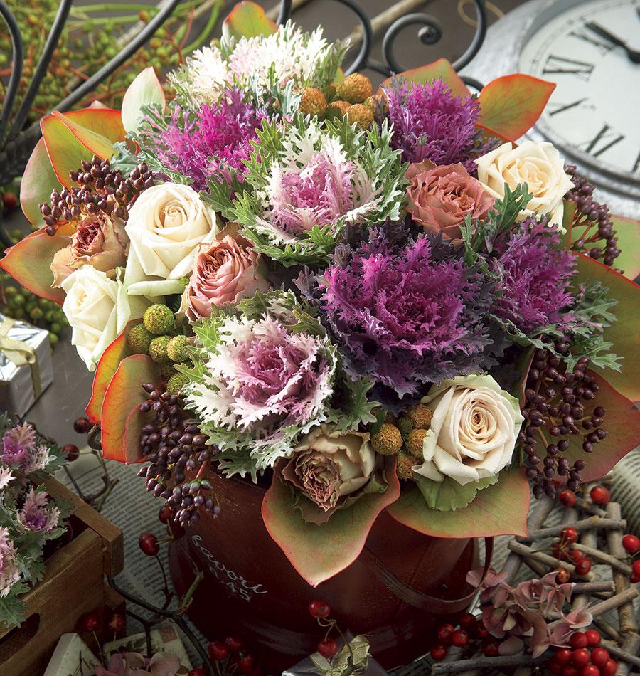 Crane Feather King Ornamental Kale Seeds – West Coast Seeds