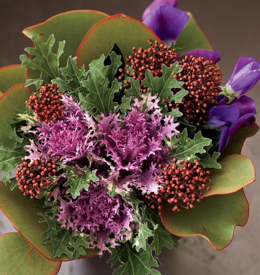 Crane Feather Queen Ornamental Kale Seeds – West Coast Seeds