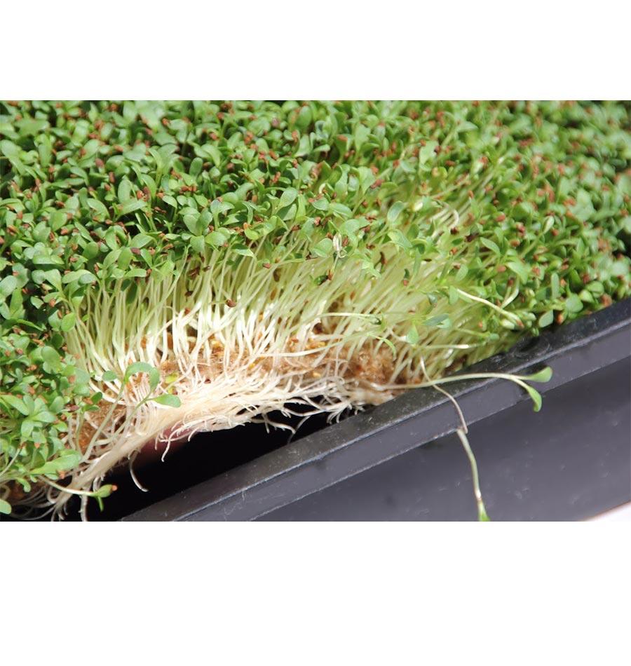 Terrafibre Hemp Grow Mat 10 x 20 – West Coast Seeds