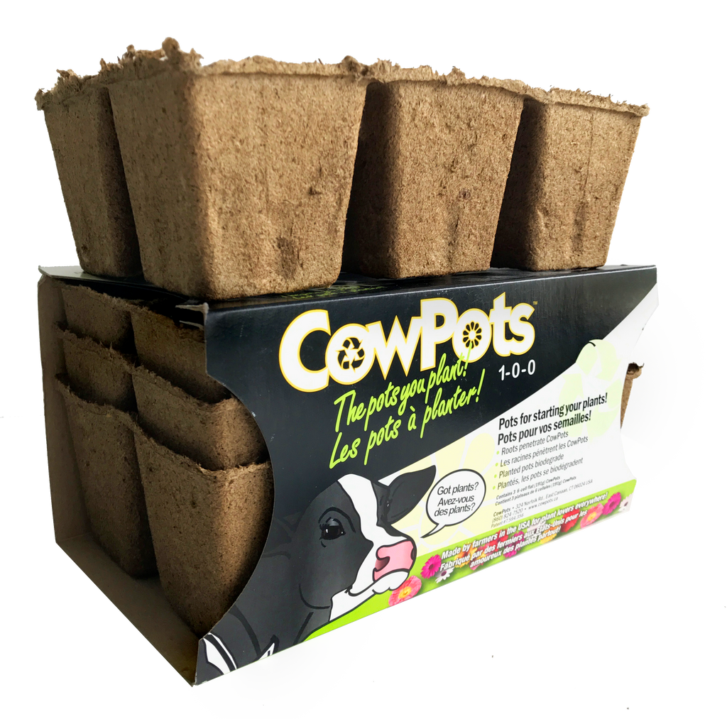 3 Inch Cow Pots | West Coast Seeds