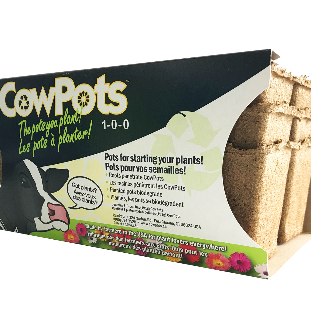 3 Inch Cow Pots | West Coast Seeds