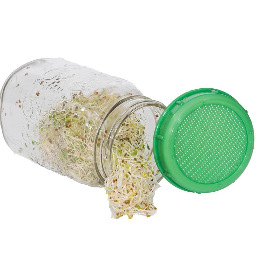 Plastic Sprouting Screen/Lid – West Coast Seeds