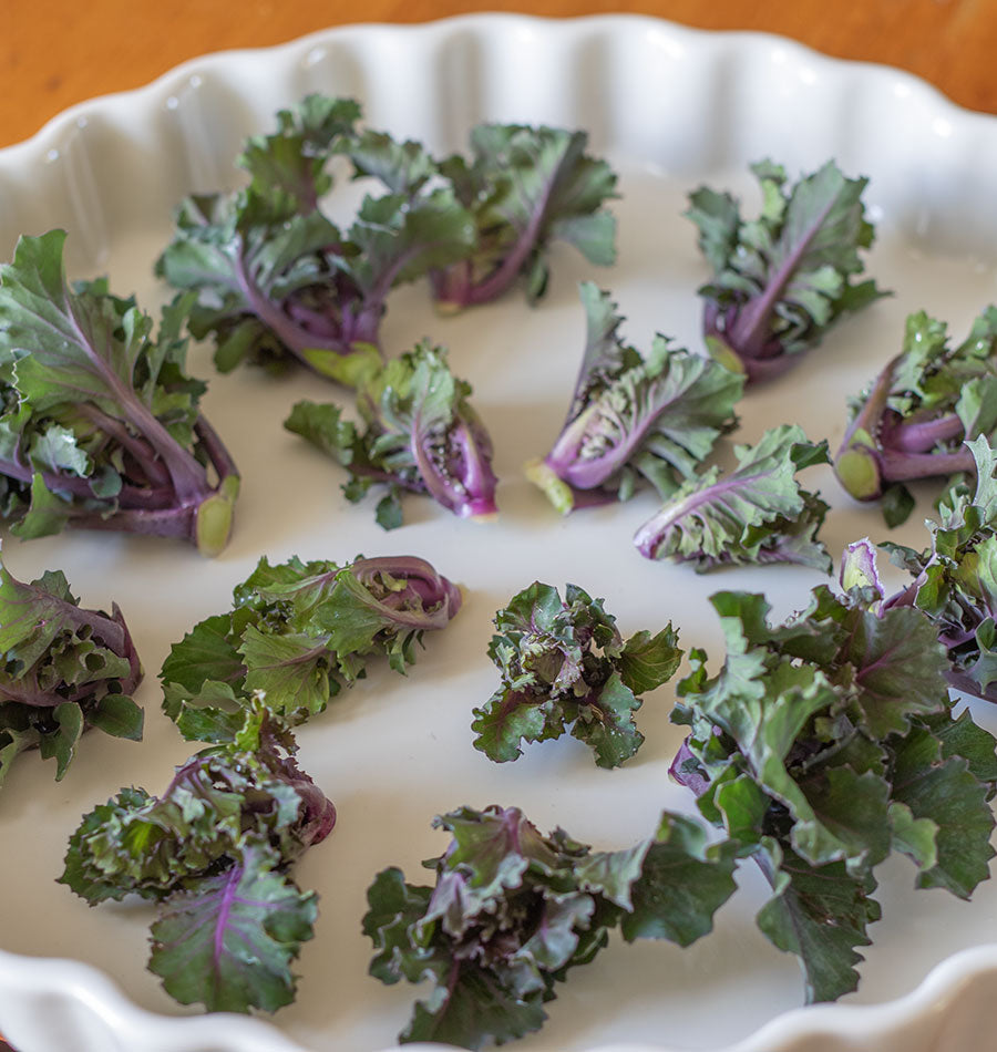 Kalettes Autumn Star – West Coast Seeds