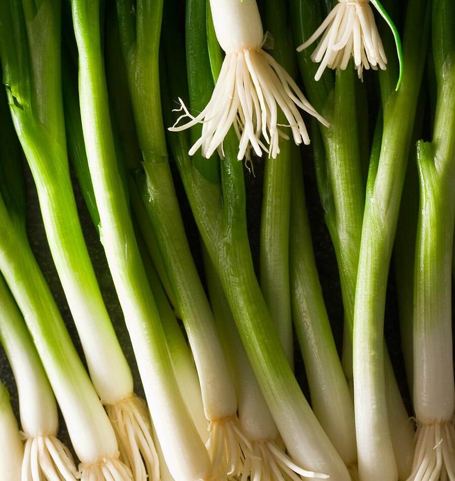 Parade Organic Scallion Seeds – West Coast Seeds