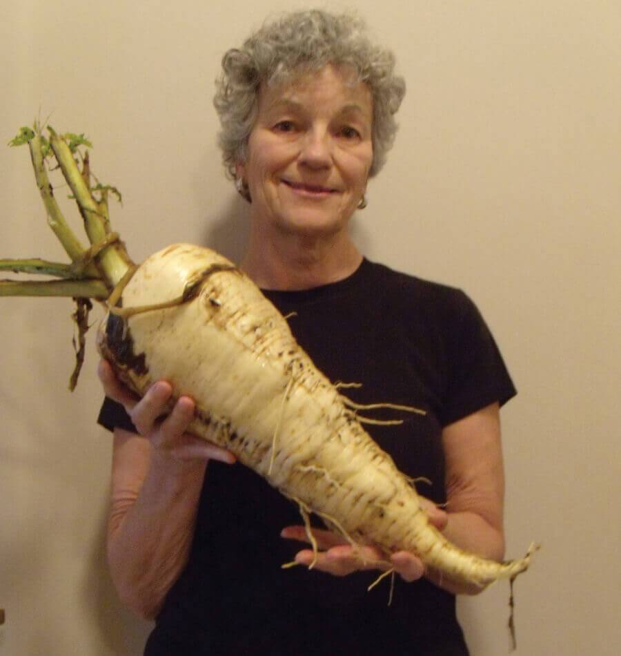 Gladiator Parsnip Seeds – West Coast Seeds