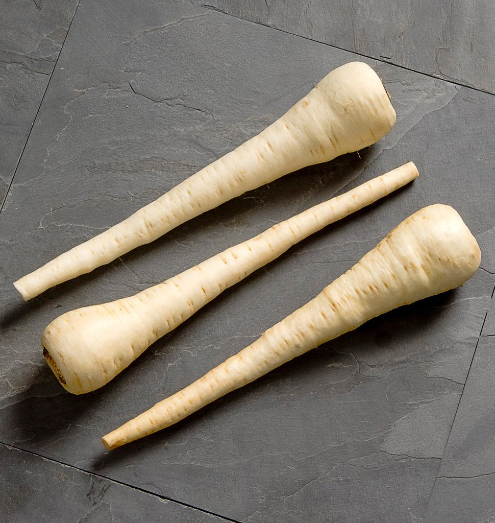 White Spear Parsnip Seeds – West Coast Seeds