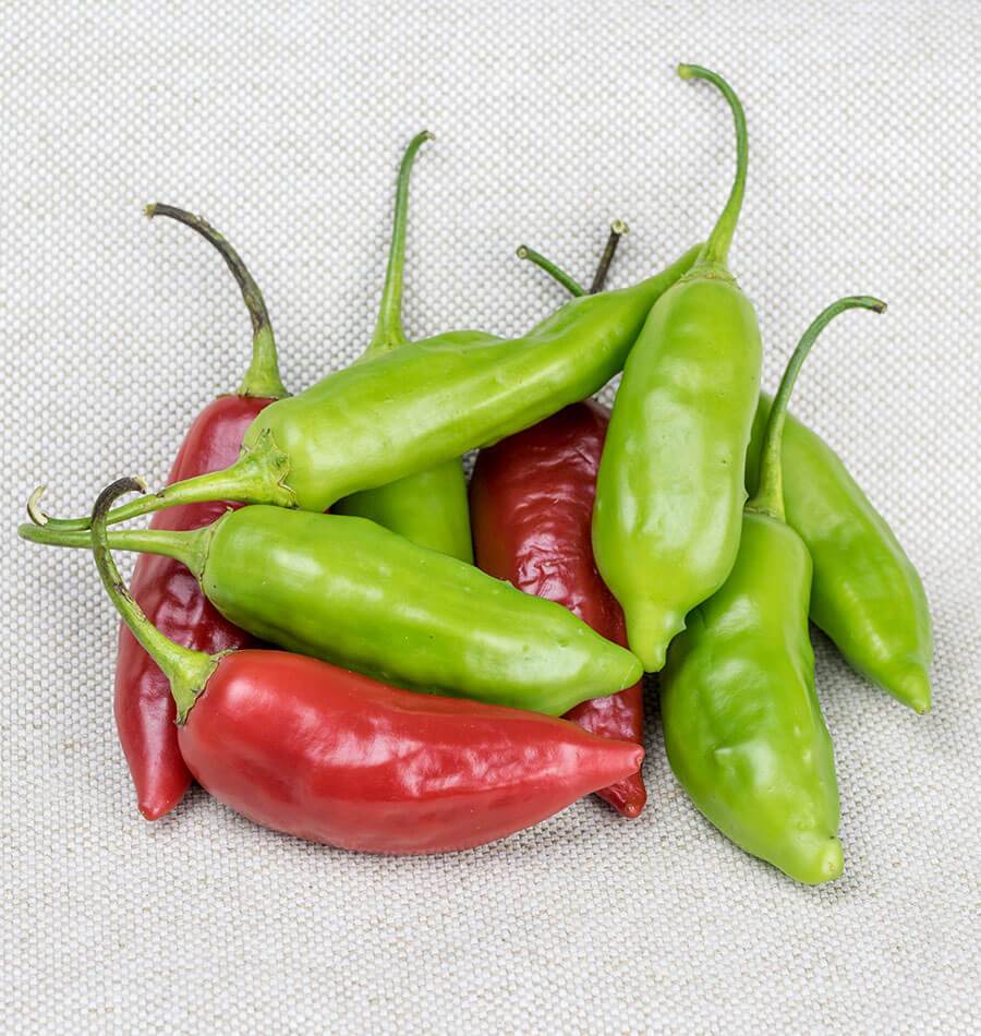Aji Rico F1 Pepper Seeds | West Coast Seeds