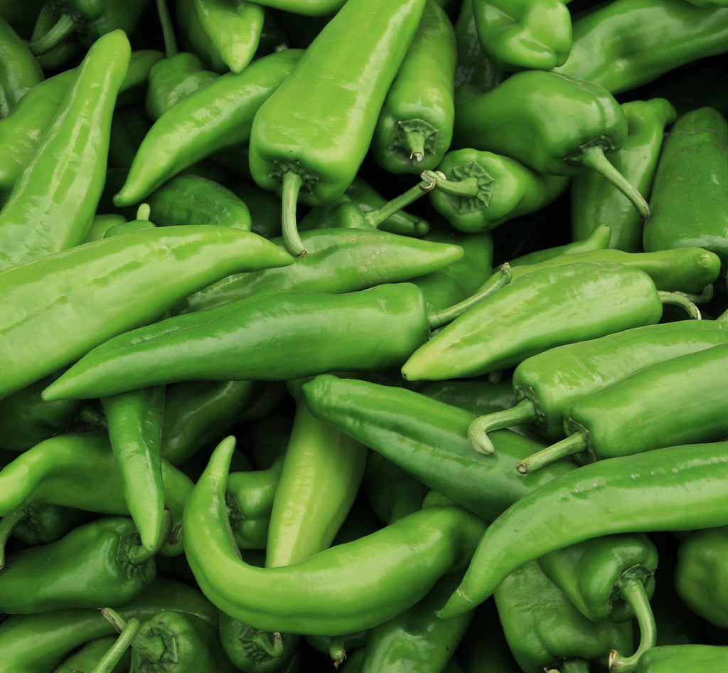 Anaheim Pepper Seeds – West Coast Seeds