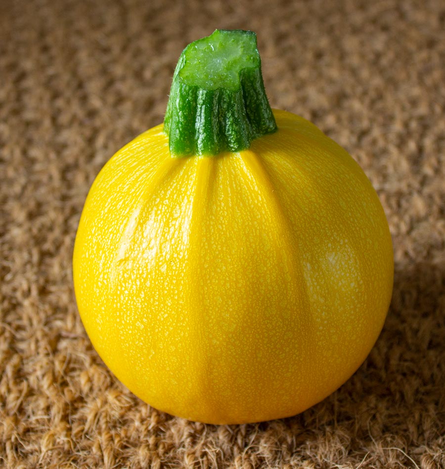 One Ball – West Coast Seeds