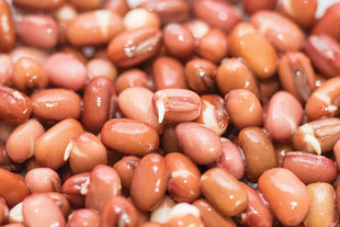 Red Radish Organic Sprouting Seeds – West Coast Seeds