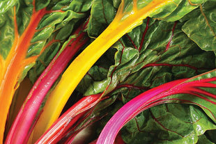 Kelsae Sweet Onion Seeds – West Coast Seeds